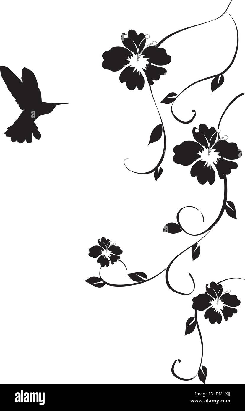Summer bird feed Cut Out Stock Images & Pictures - Alamy