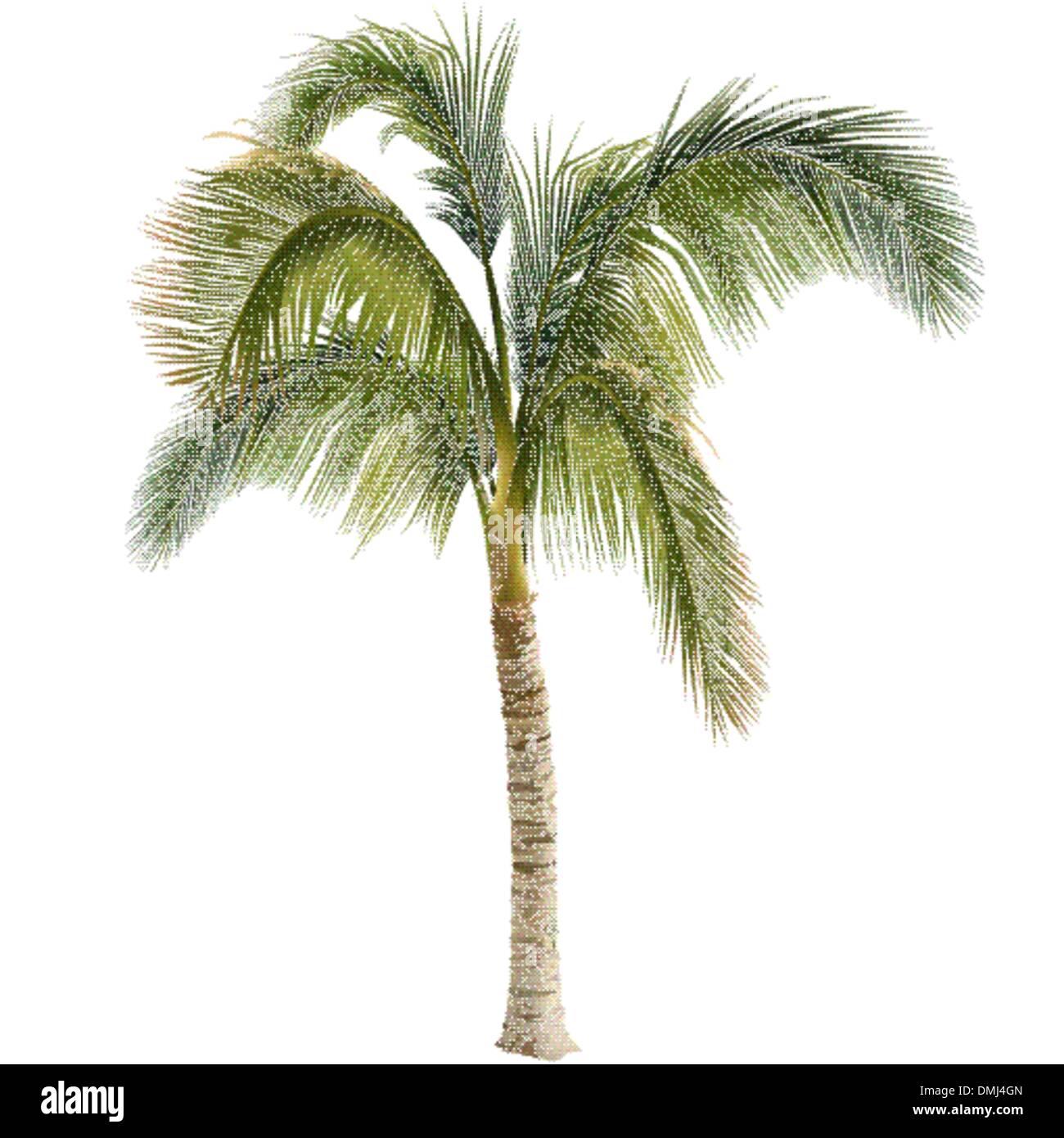 Palm tree leaf cut out Stock Vector Images - Alamy