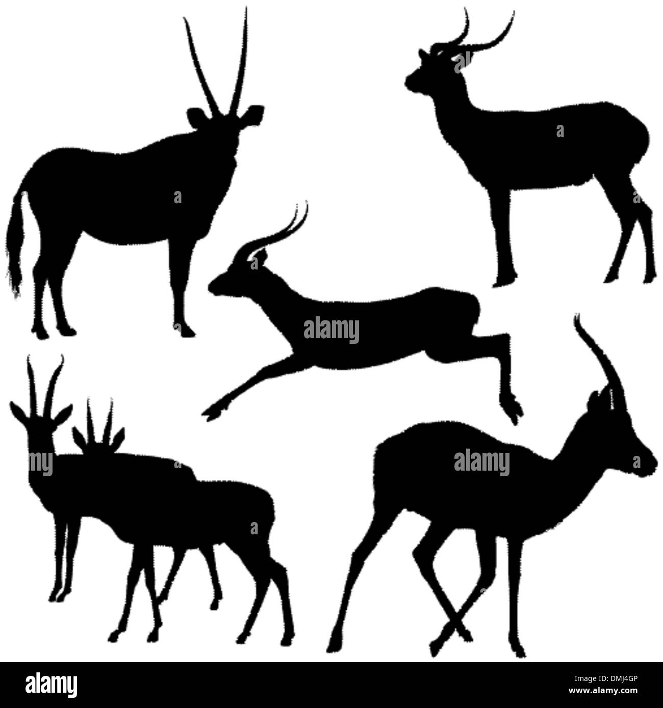 Antelope vector vectors hi-res stock photography and images - Alamy
