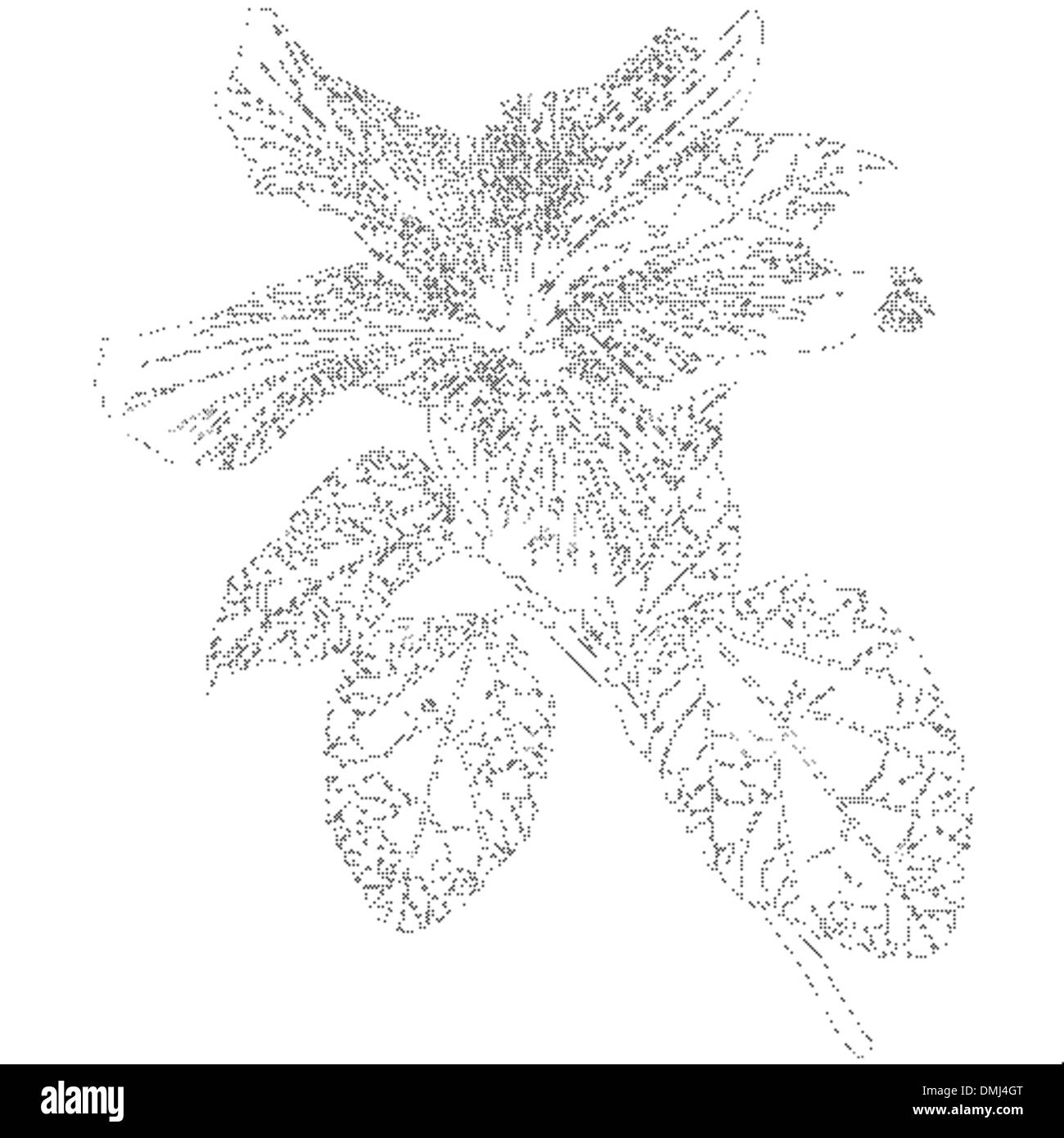 Hibiscus flower stigma Stock Vector Images - Alamy Hibiscus flower stigma Stock Vector Images - Alamy
