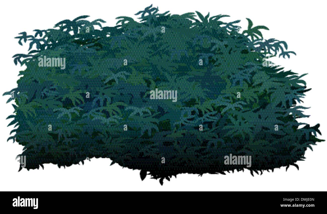 Cartoon bushes hi-res stock photography and images - Alamy