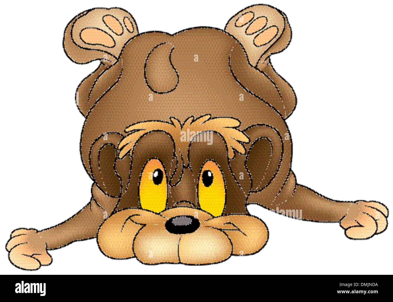 Falling bear hi-res stock photography and images - Alamy