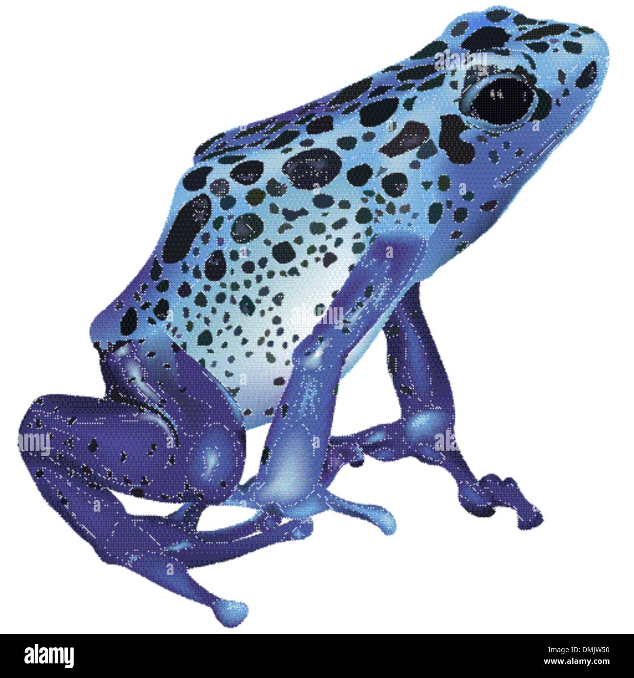 Poisonous frog illustration hi-res stock photography and images - Alamy