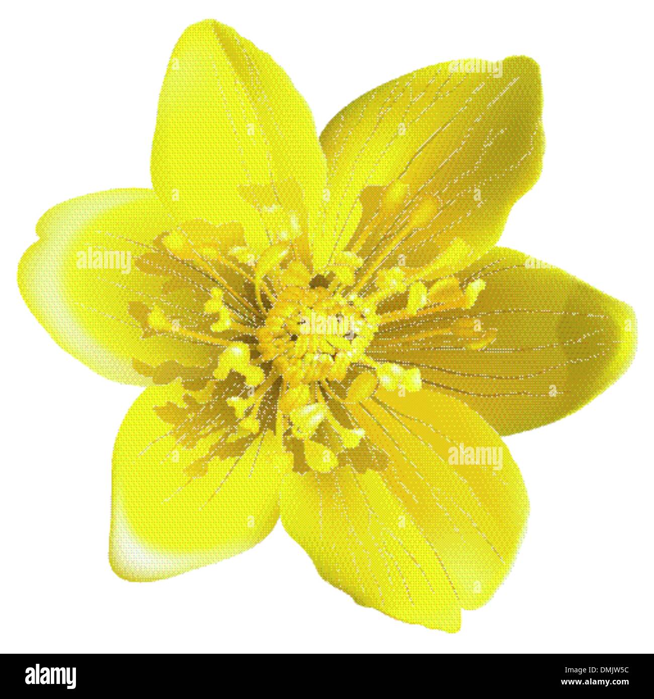 Flora flowering Stock Vector Images - Alamy