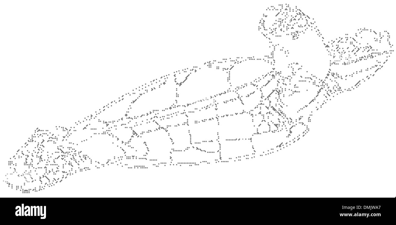 Turtle cut Stock Vector Images - Alamy