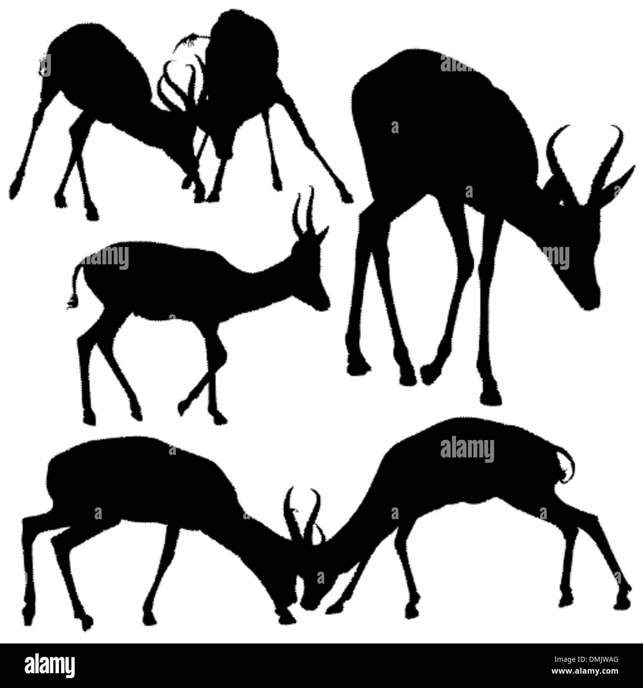 Springbok clipart Cut Out Stock Images & Pictures - Alamy