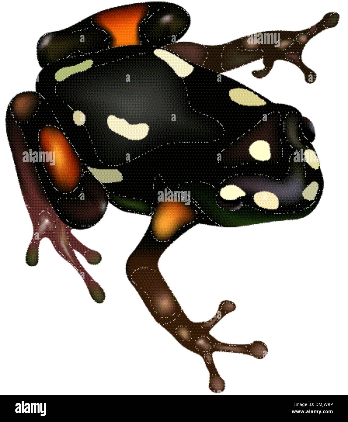 Poison dart frog Stock Vector Images - Alamy