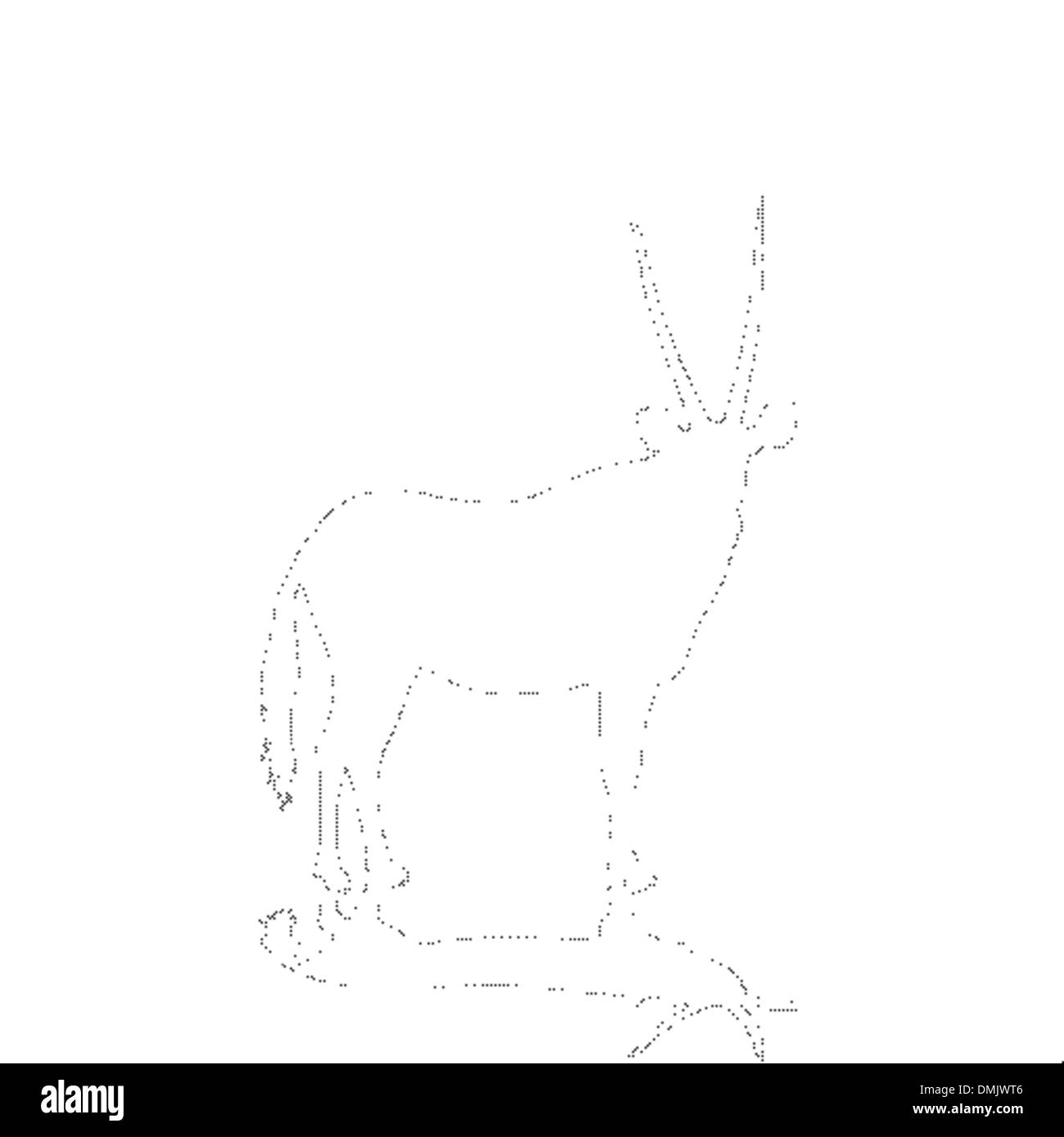 Springbok Cut Out Stock Images & Pictures - Alamy