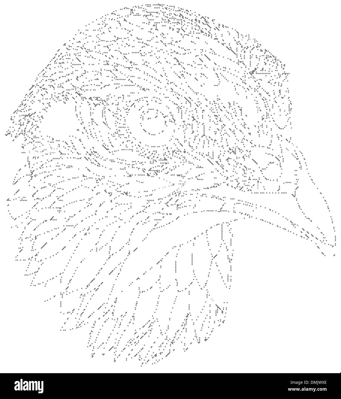 Quail drawing hi-res stock photography and images - Alamy