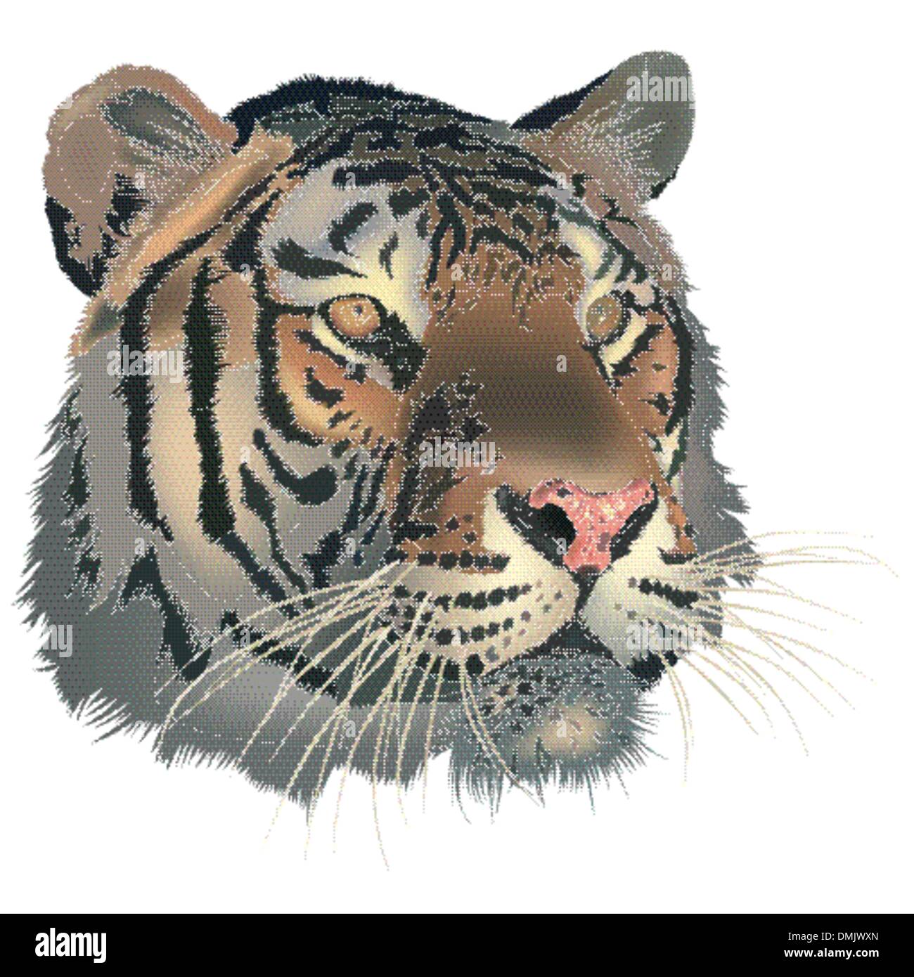Tiger head painting hi-res stock photography and images - Alamy
