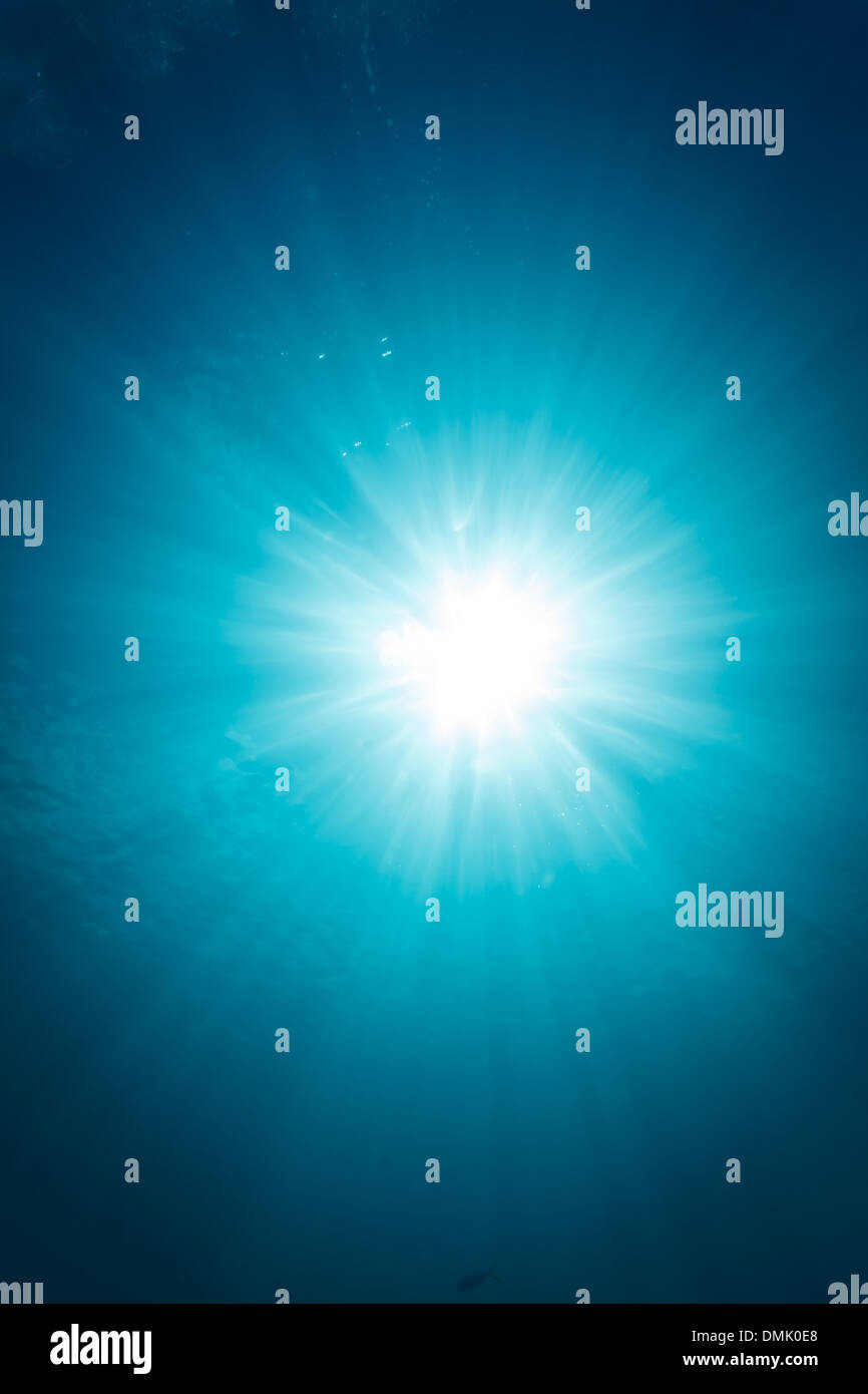 Sunlight underwater through water hi-res stock photography and images ...