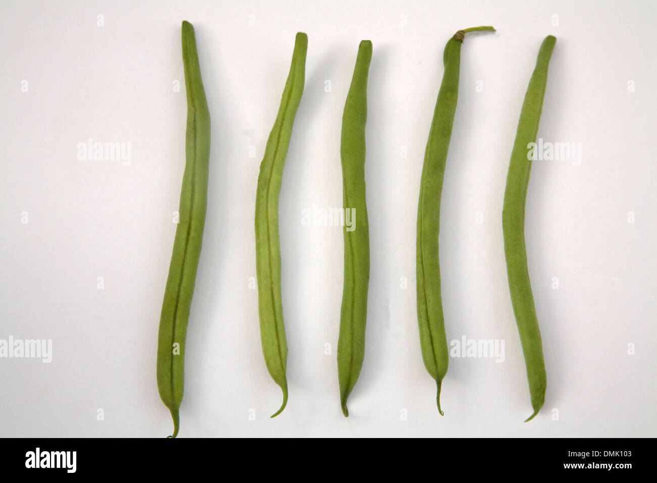 Close up five fine green beans on white background Stock Photo - Alamy