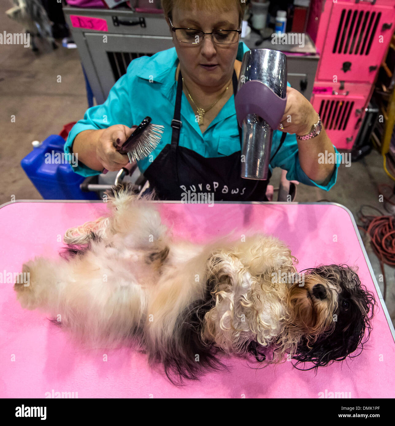 Jill bell hi-res stock photography and images - Alamy