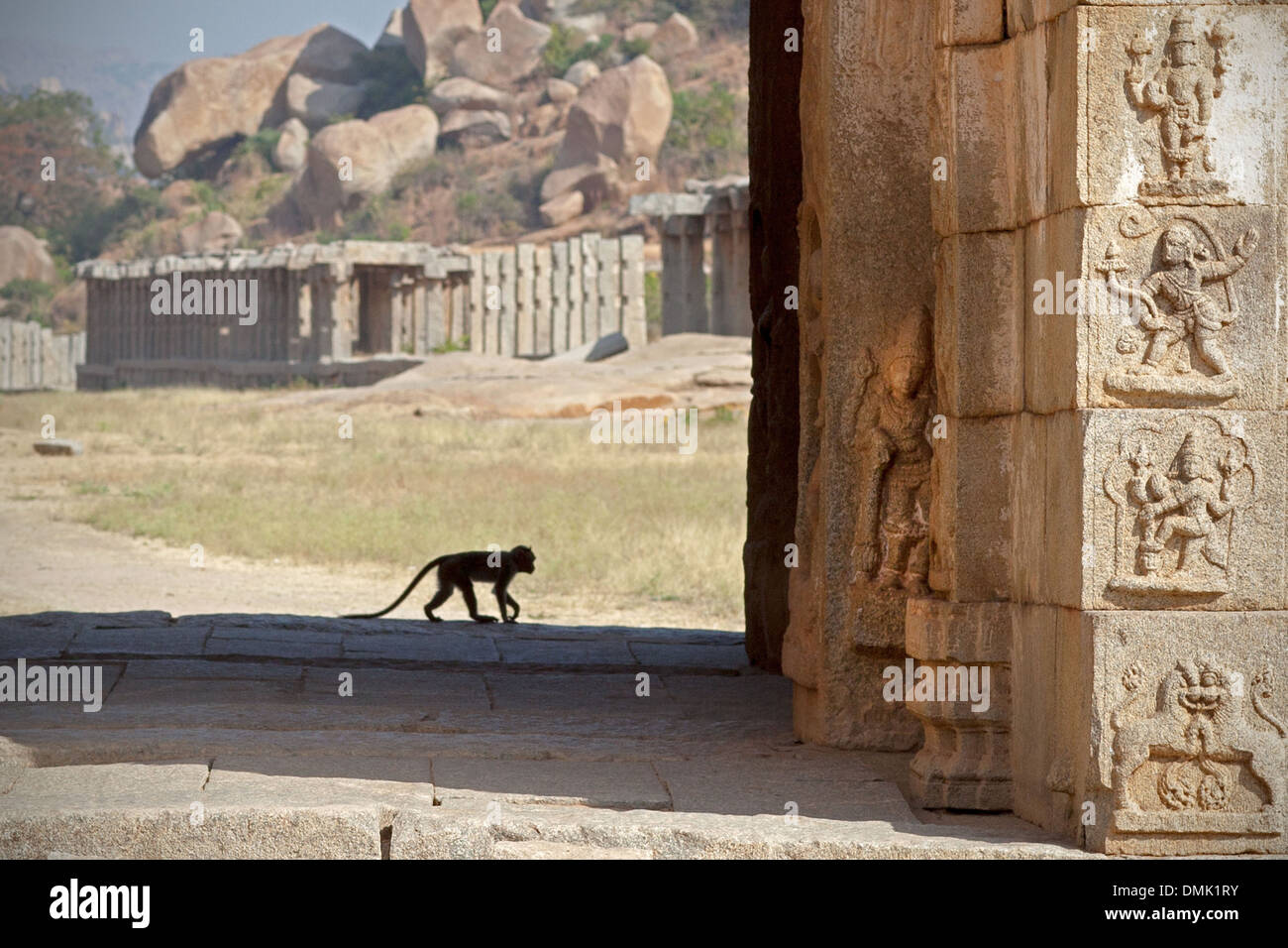 MONKEY IN A TEMPLE IN HAMPI, KARNATAKA, INDIA, ASIA Stock Photo - Alamy