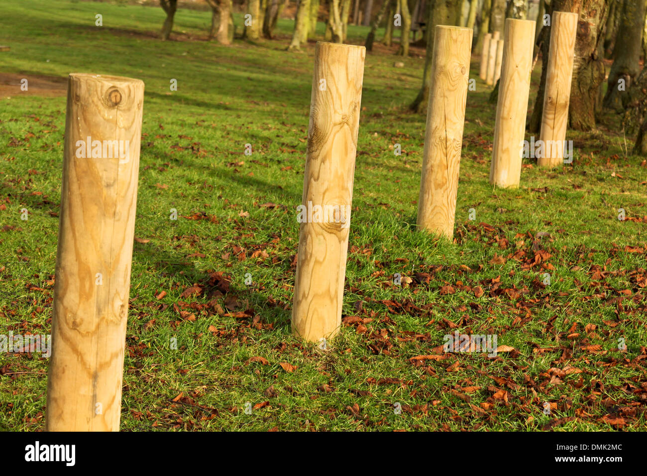 A line of wooden stakes in a parkland setting Stock Photo - Alamy