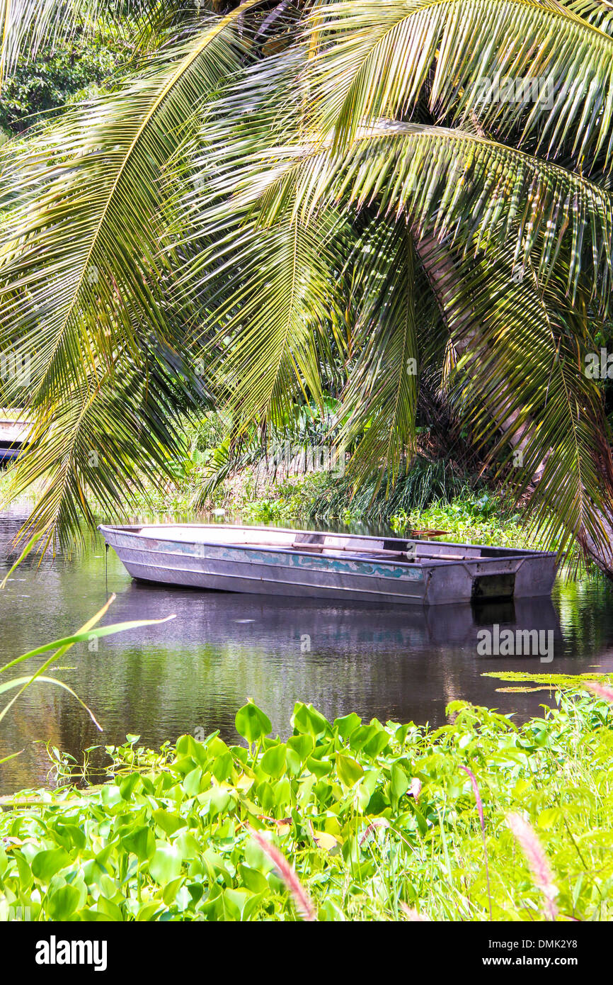 Old boat under a palm tree on the lake Stock Photo - Alamy