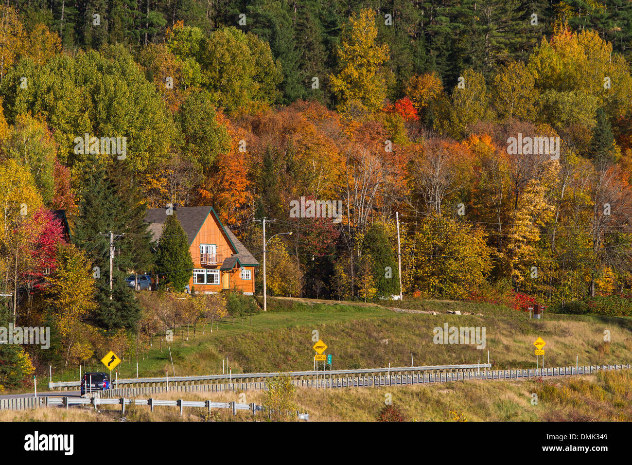 LA MAURICIE PARK, MAPLE TREES, AUTUMN COLORS, QUEBEC, CANADA Stock ...