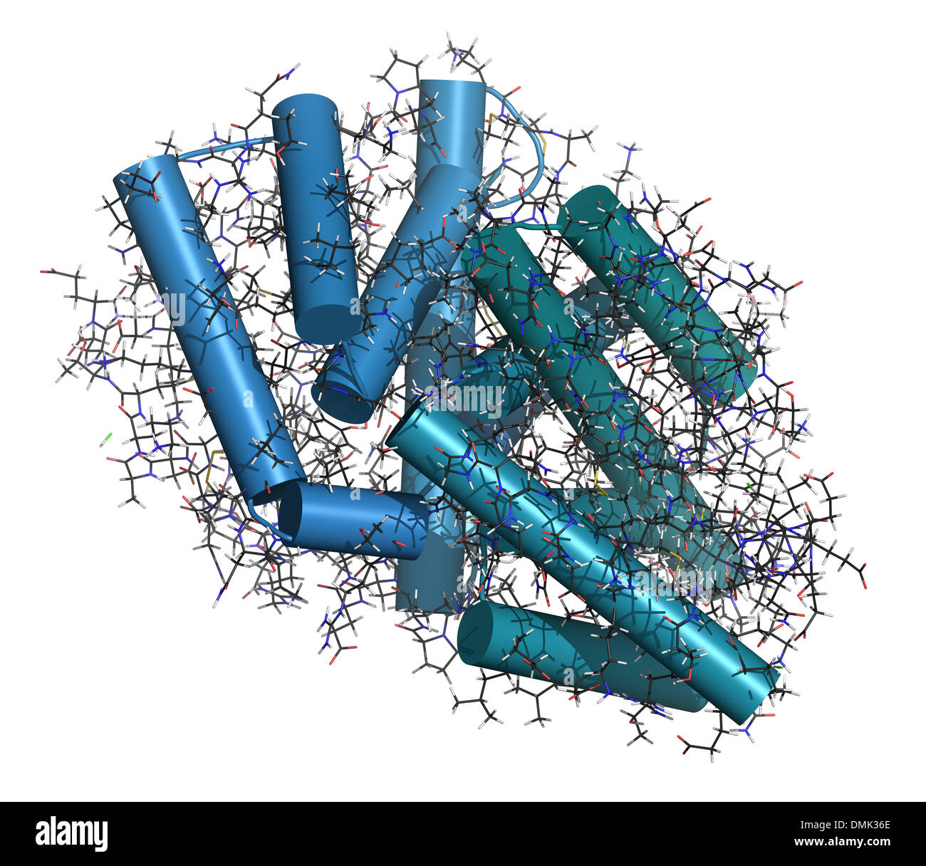 Cat allergen (Fel d 1) protein. Major cause of allergy to cats. Cartoon ...