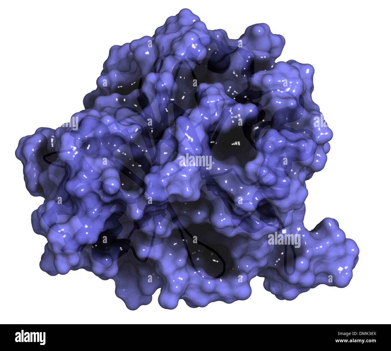 Recombinant DNase I DNA cutting enzyme (dornase alfa), chemical ...