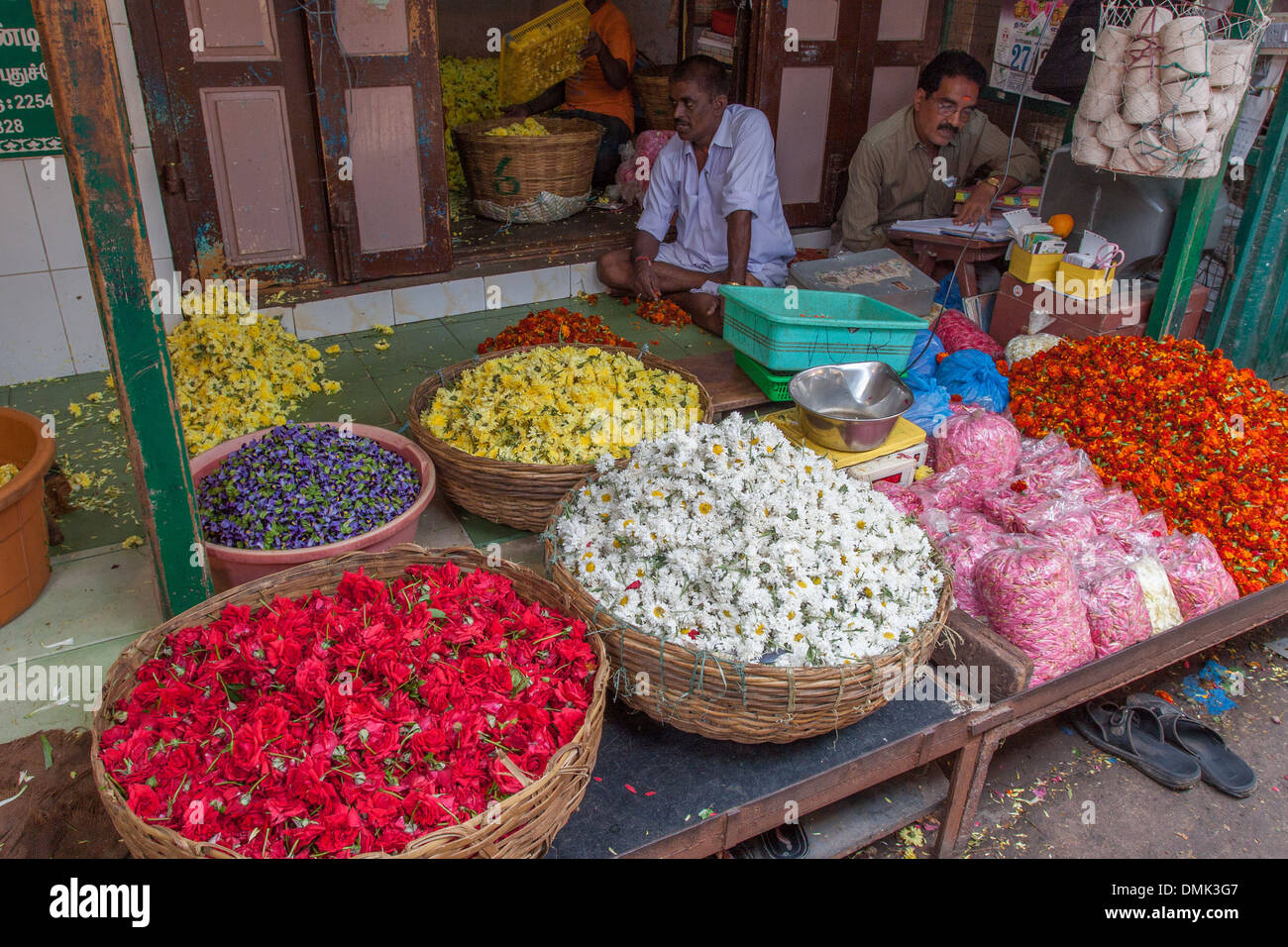 FLOWER PETAL SELLER IN THE PONDICHERRY MARKET, TAMIL NEIGHBORHOOD ...