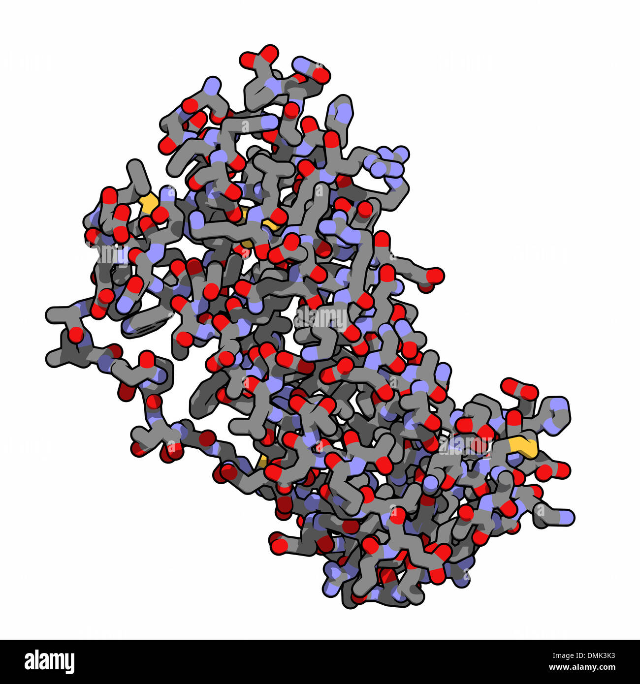 Granulocyte colony-stimulating factor (GCSF, filgrastim) molecule. Used ...