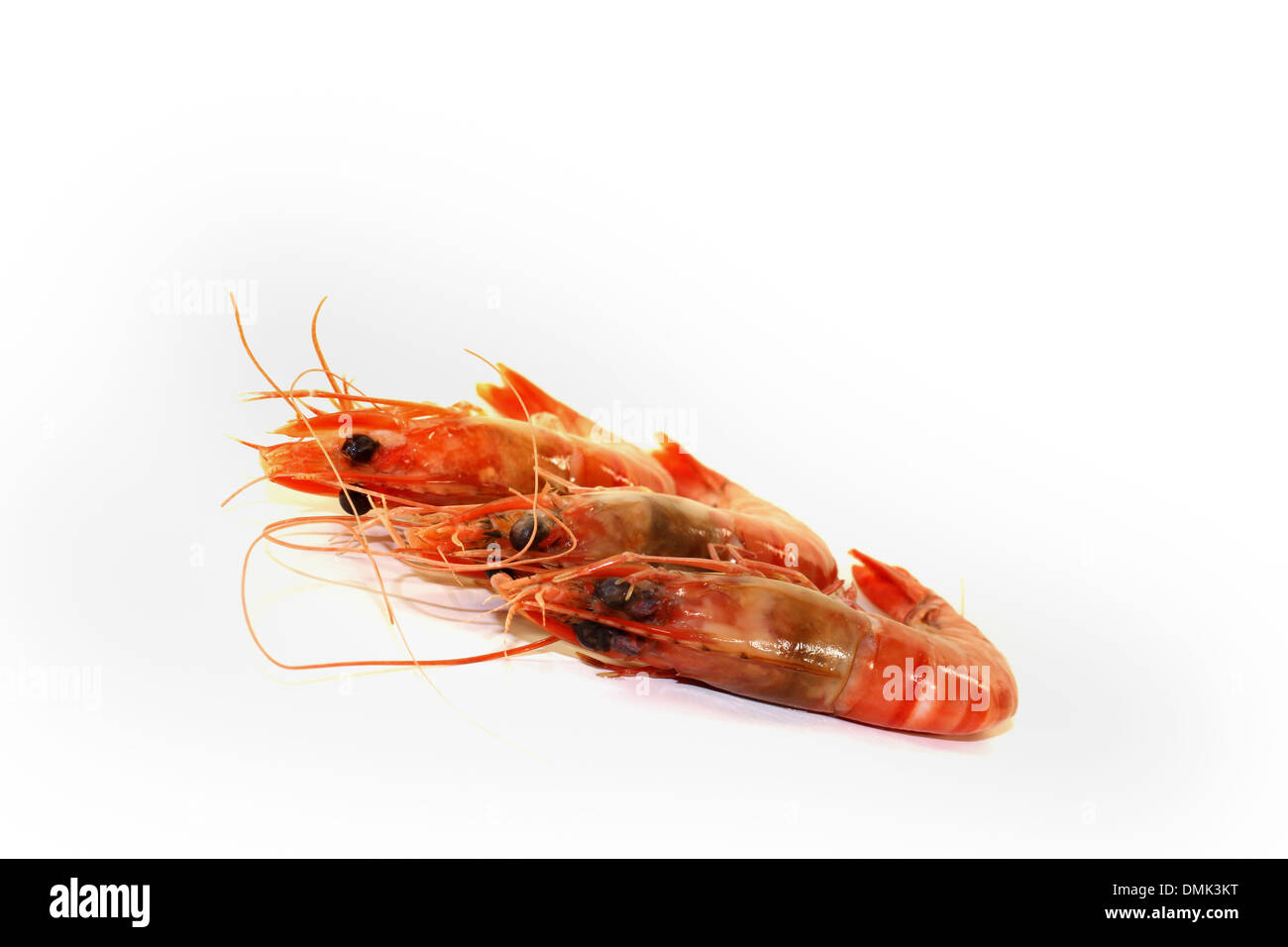 Three Tiger Prawns High Resolution Stock Photography and Images - Alamy