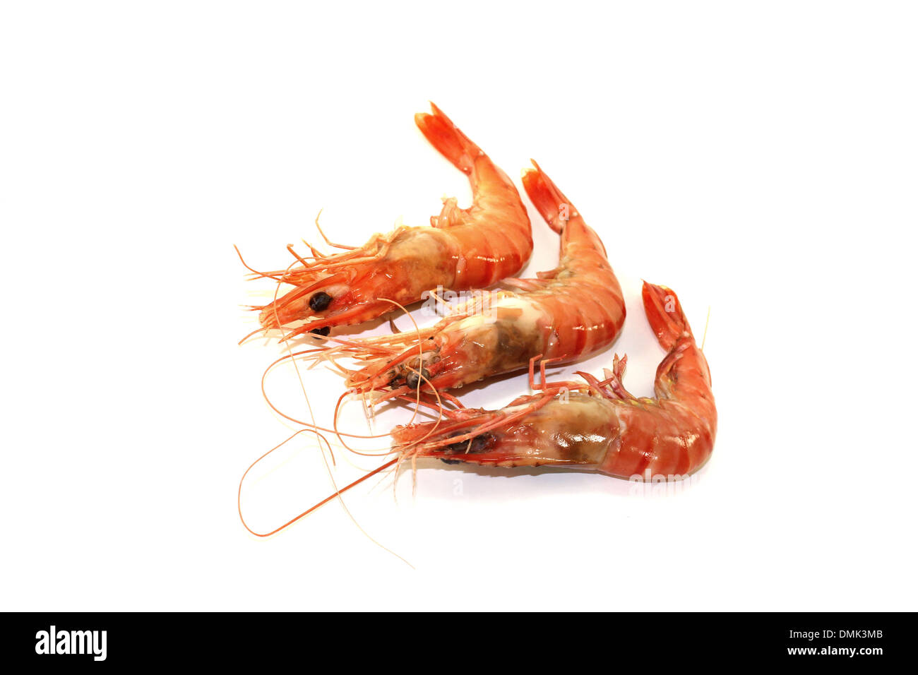 three fresh cooked orange prawns on a light background Stock Photo - Alamy