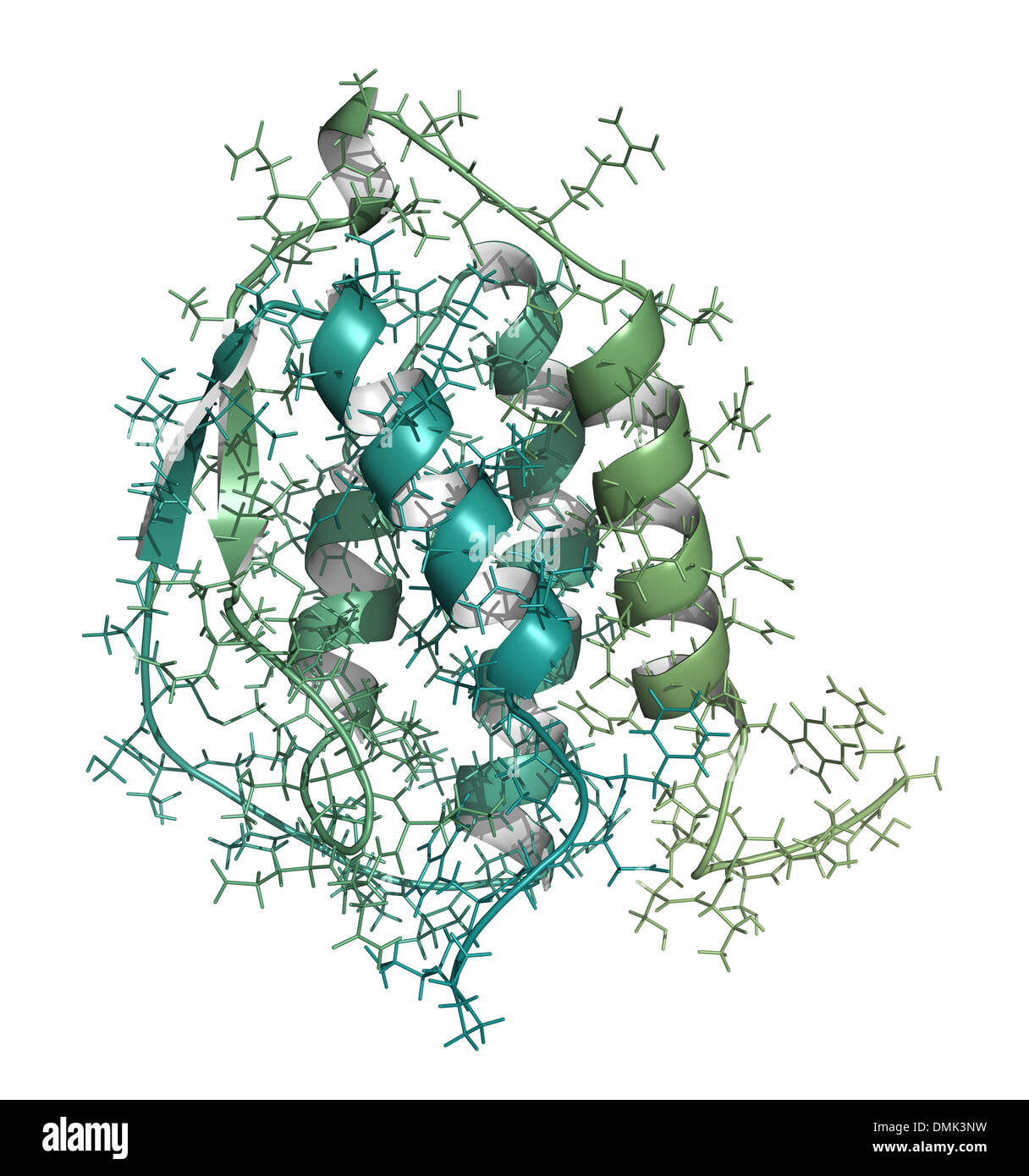 Granulocyte colony stimulating factor hi-res stock photography and ...