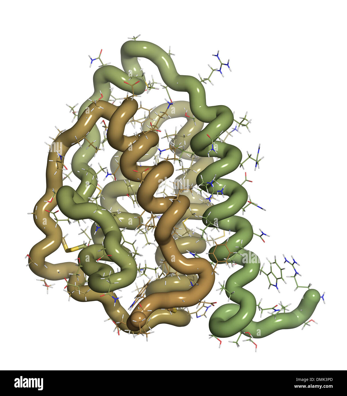 Granulocyte-macrophage colony-stimulating factor (GM-CSF, molgramostim ...