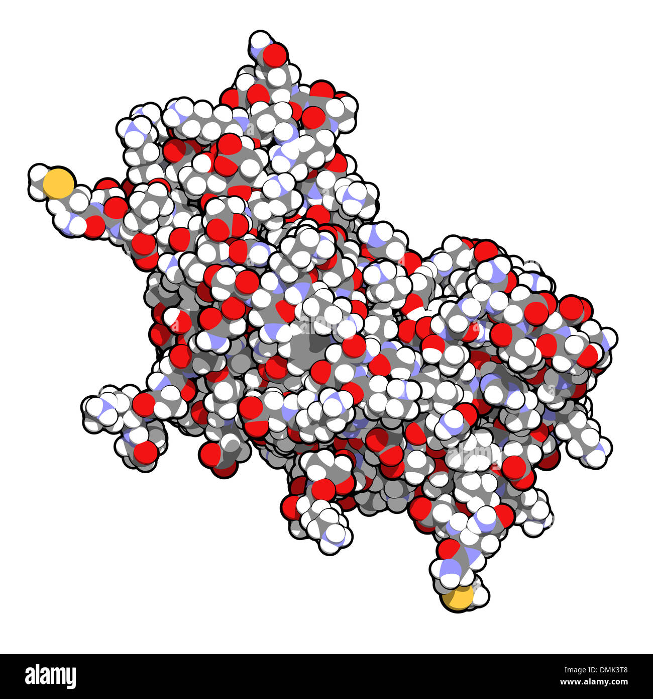 Interferon gamma (IFNg) cytokine molecule, chemical structure ...