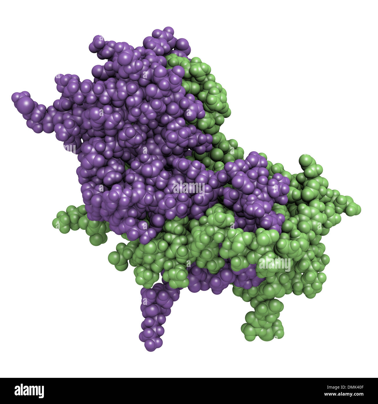 Interferon gamma (IFNg) cytokine molecule, chemical structure ...