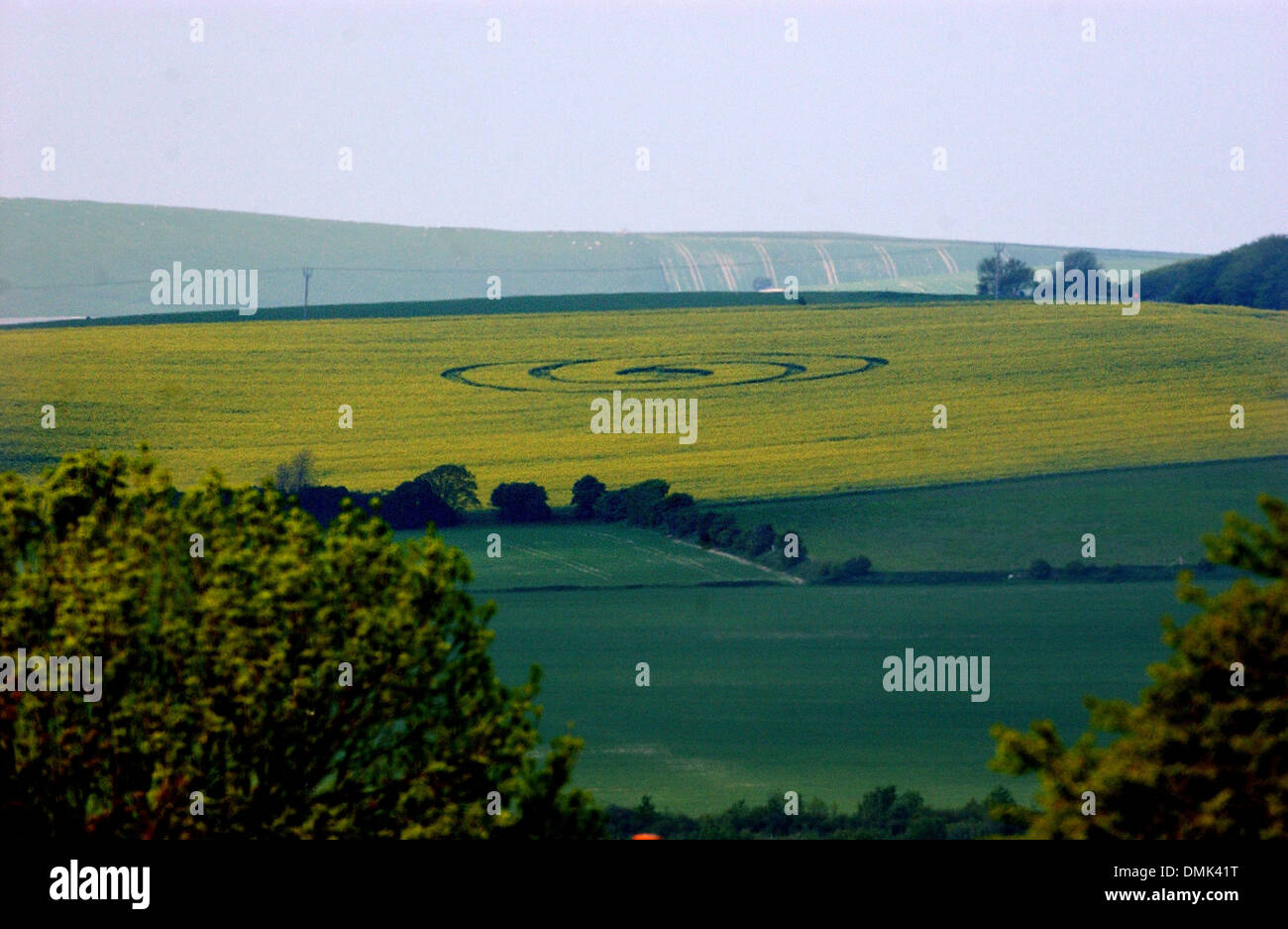 The first crop circle of the year appears in a field of oil seed rape ...