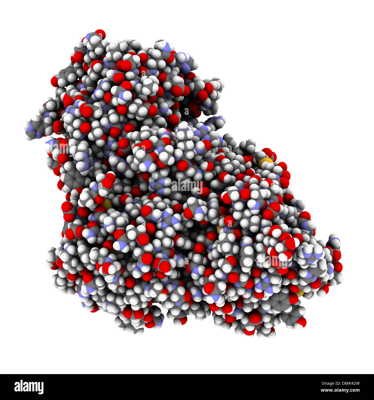 Ricin castor bean plant poisonous protein, chemical structure. Atoms ...