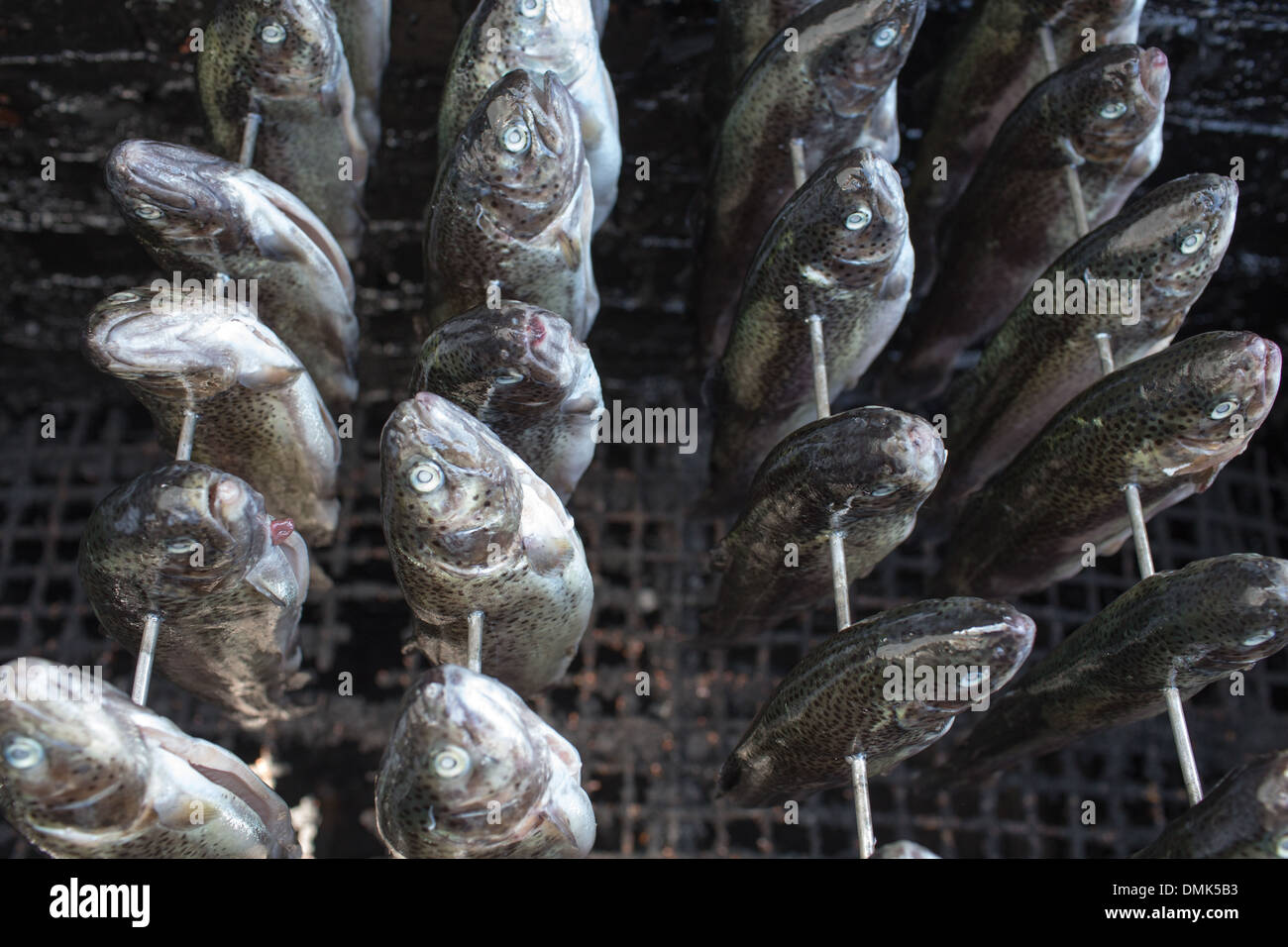 Preparation smoked trout in Polish cuisine conditions Stock Photo - Alamy