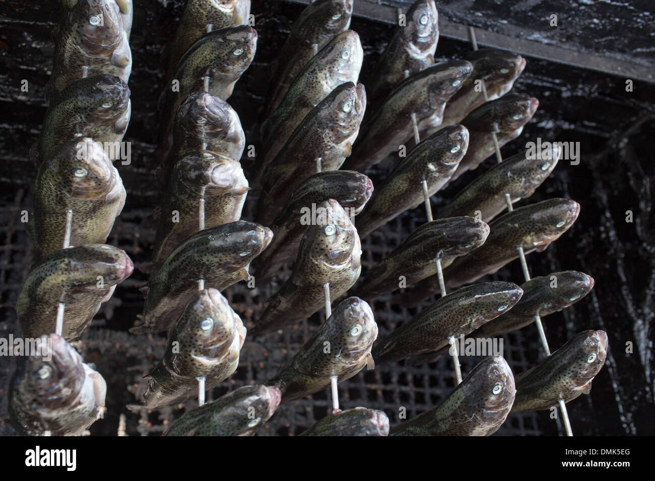Preparation smoked trout in Polish cuisine conditions Stock Photo - Alamy
