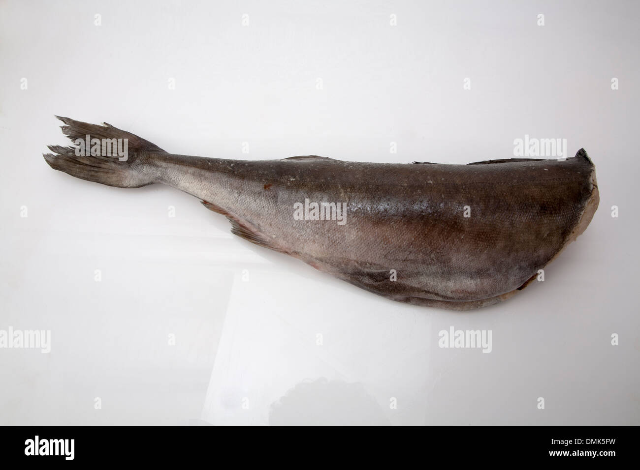 Frozen fish products laid on ice to be showcased for consumption ...