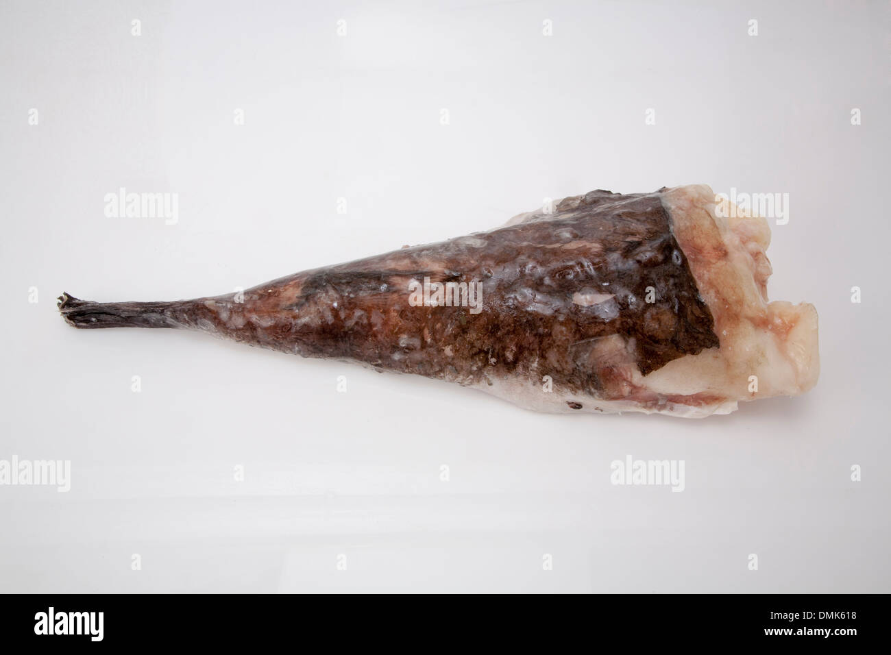 Frozen fish products laid on ice to be showcased for consumption ...