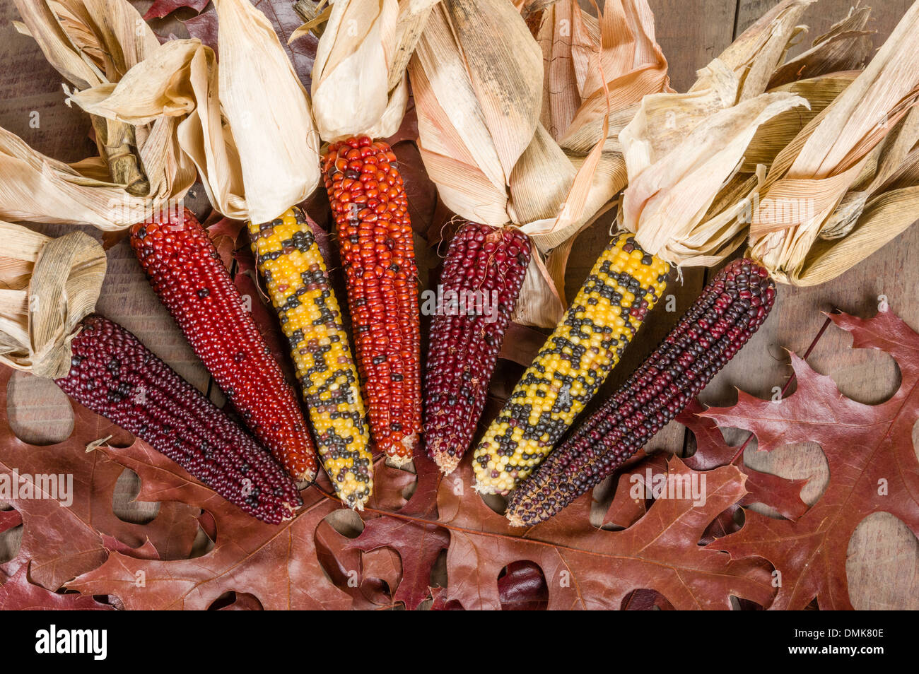 Indian corn display hi-res stock photography and images - Alamy
