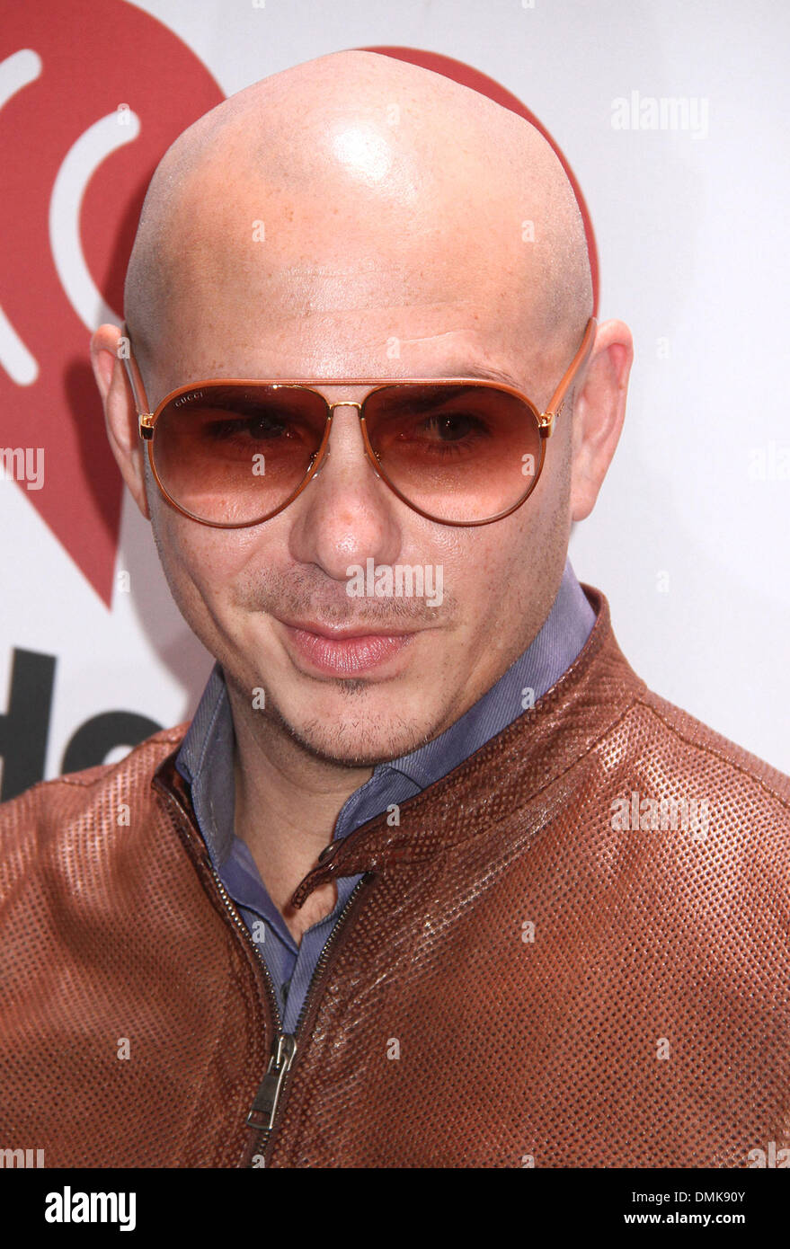 Pitbull headshot hi-res stock photography and images - Alamy