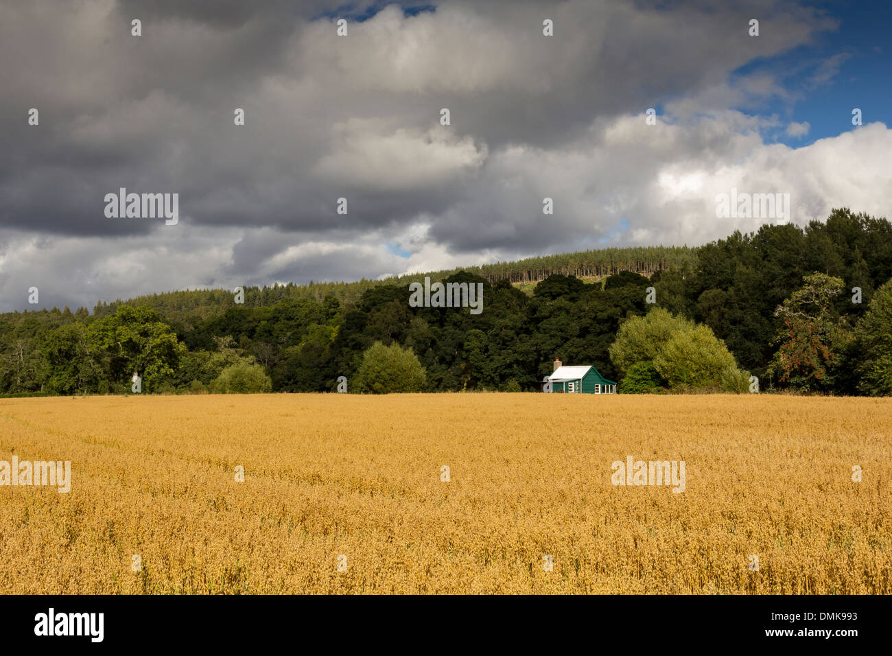 Green hut hi-res stock photography and images - Alamy