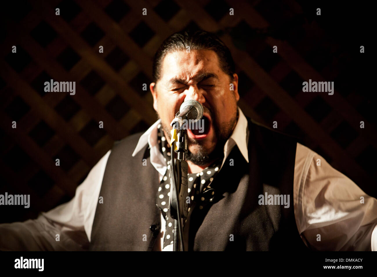 Flamenco singer, El Farol Restaurant, Santa Fe, New Mexico USA Stock ...
