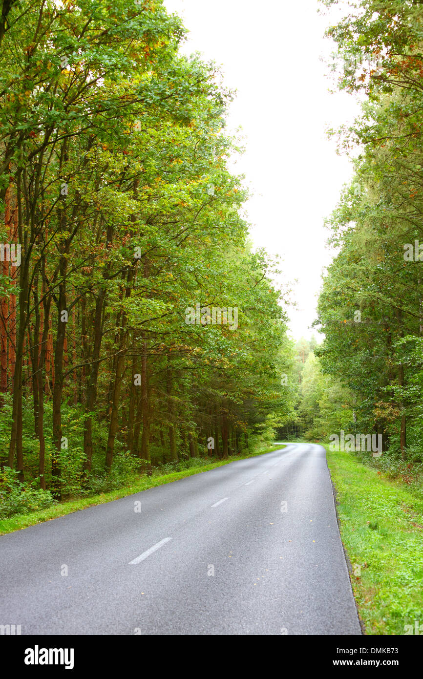 Landscape in Poland asphalt road into forest, early autumn Stock Photo ...
