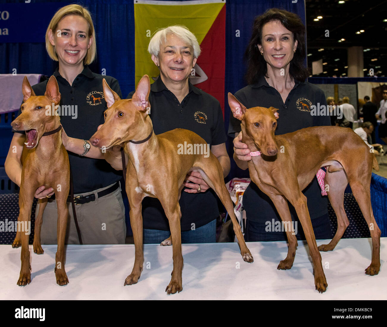 Orlando, Florida, USA. 14th Dec, 2013. From left, NANCY DOYLE, LUCIA ...