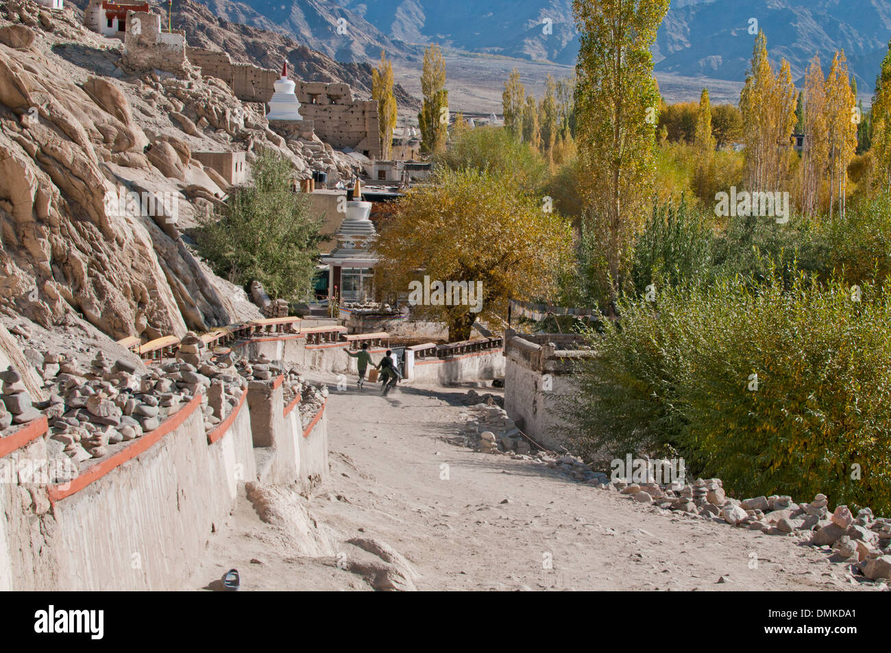 The beautiful valley of Leh in Ladakh, India Stock Photo - Alamy