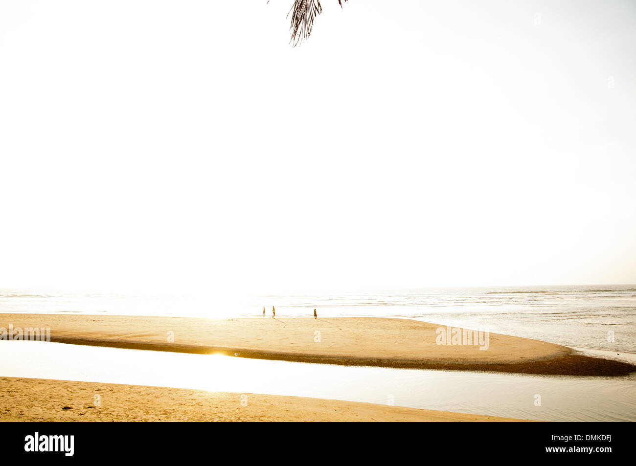 A golden sunset on the beach in Goa, India Stock Photo - Alamy