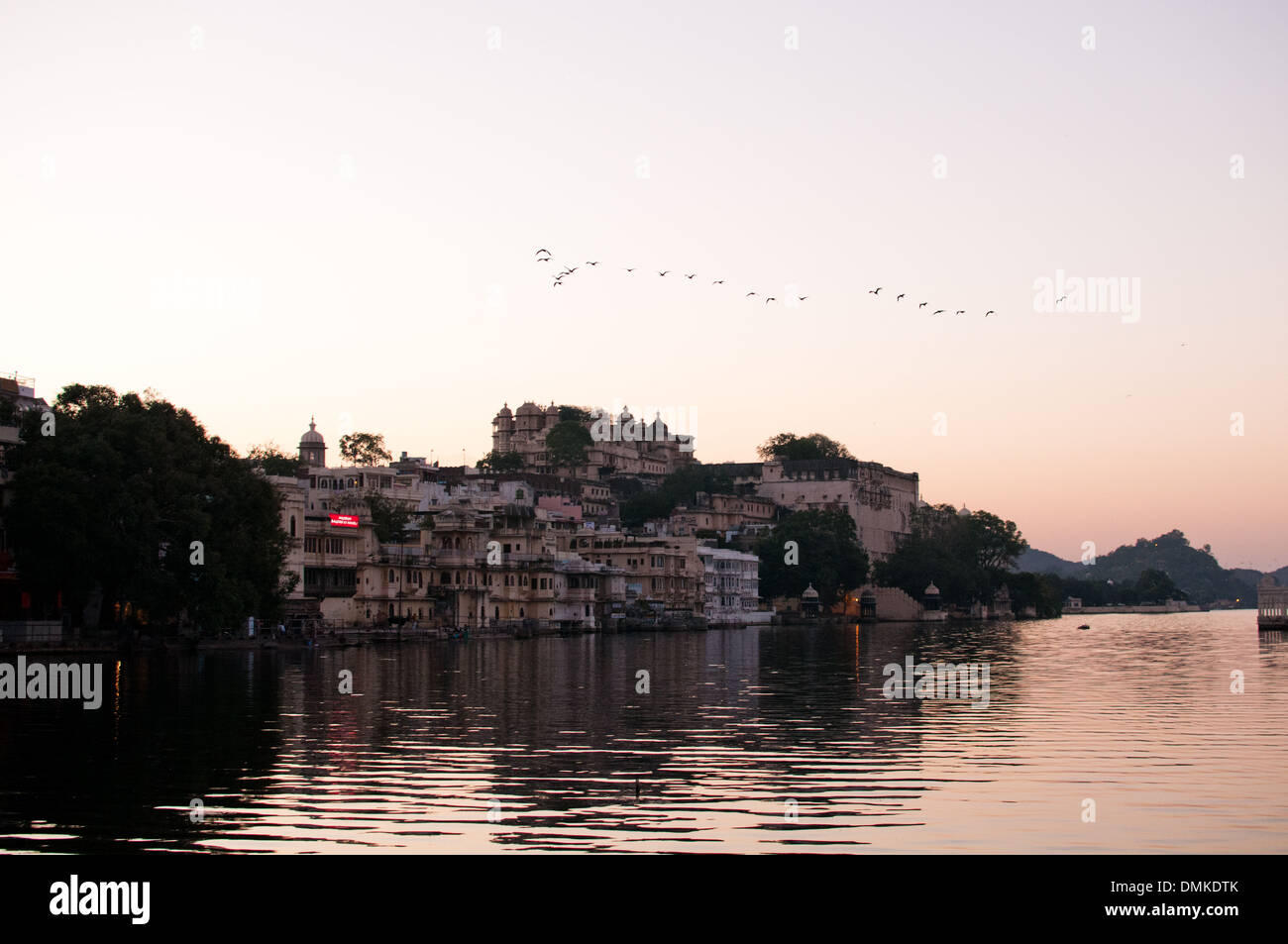 Birds fly over the beautiful city of Udaipur, India Stock Photo - Alamy