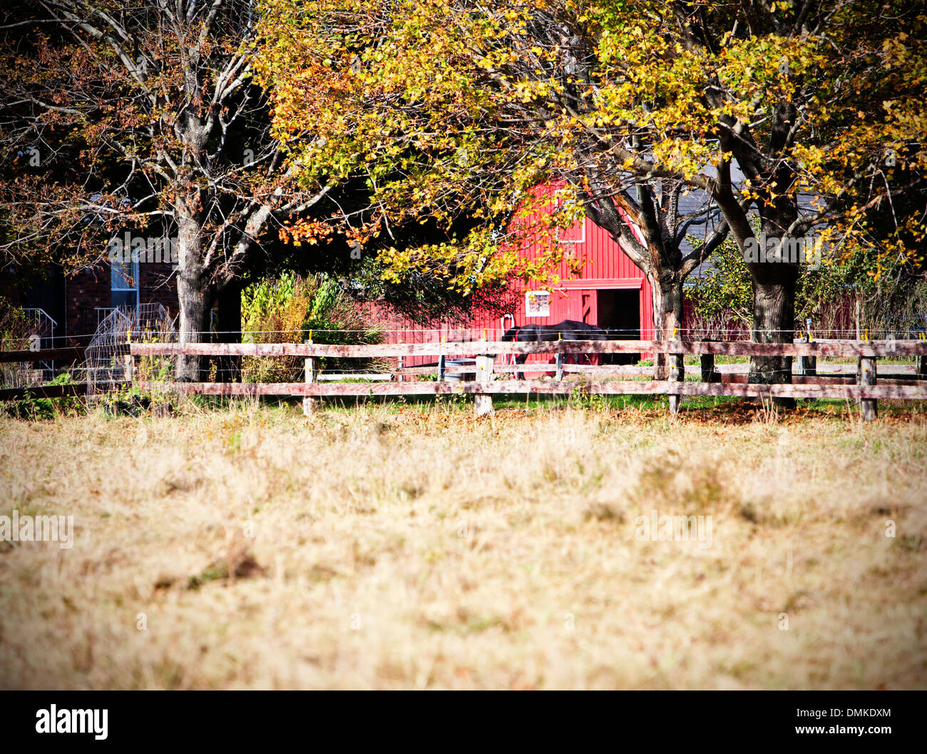 Red barn with horse on farm Stock Photo - Alamy