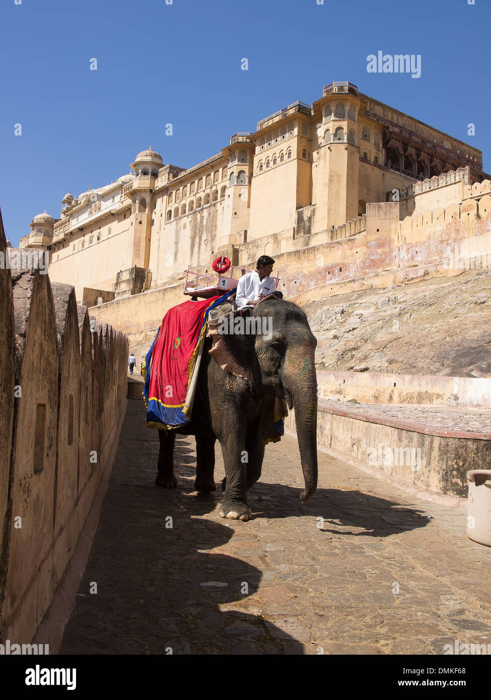 India, Rajasthan, Jaipur, the Amber Fort, elephant driver Stock Photo ...
