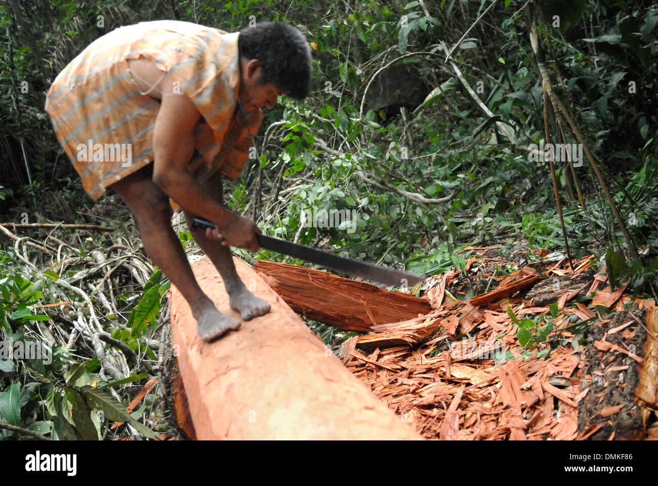 Amazon indigenous tribe boat hi-res stock photography and images - Alamy