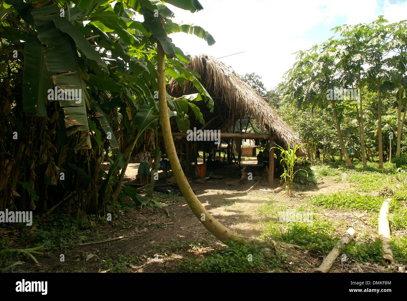 Hoti tribe hi-res stock photography and images - Alamy